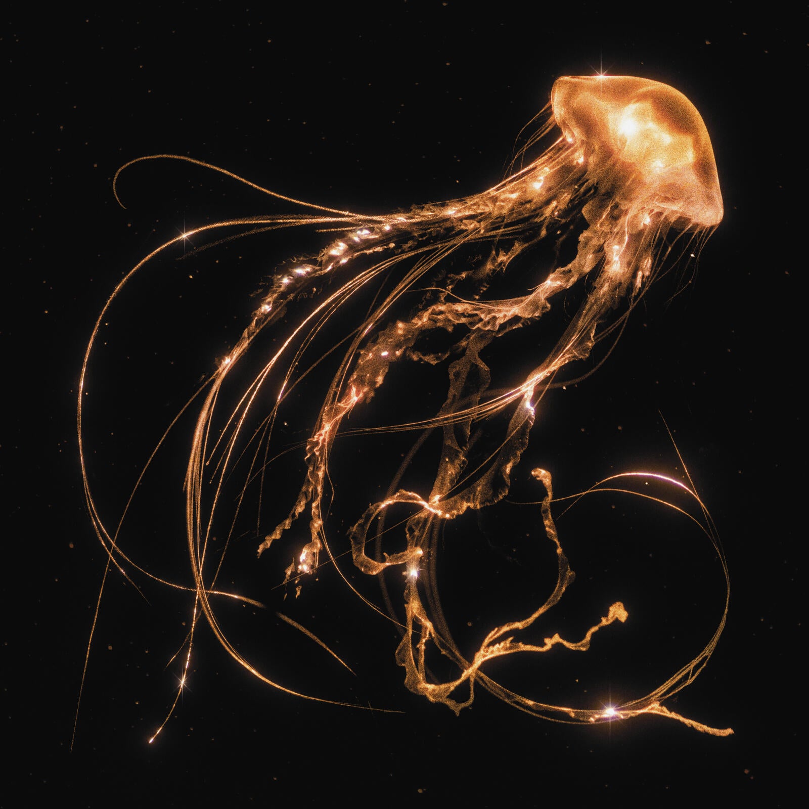 Royal Blood - Back To The Water Below (Indie Exclusive, Clear Vinyl)